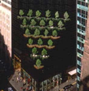 The Trump Tower - Christian Observer